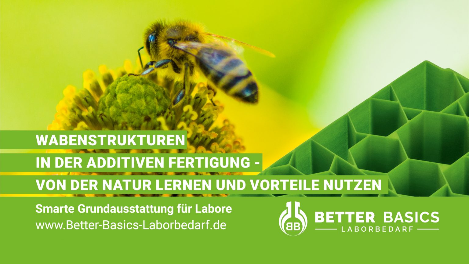 Better Basics Laborbedarf - Smarte Grundausstattung für Labore
